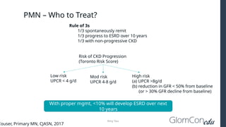 Glom Con: Basics of Membranous Nephropathy | PPT