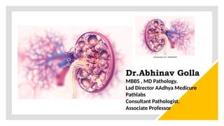 Nephrotic & Nephritic Syndromes. Dr. Abhinav Golla , Associate ...