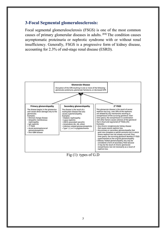 Glomerular disease 2018 | PDF