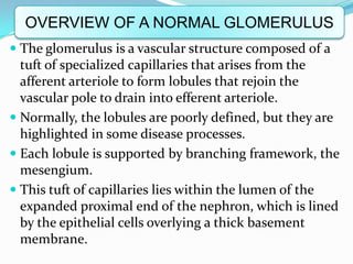 Glomerular diseases | PPTX