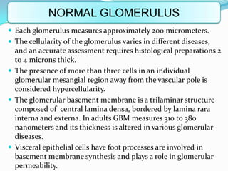 Glomerular diseases | PPTX