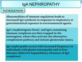Glomerular diseases | PPTX