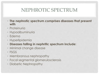 Glomerular diseases | PPTX