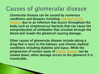 Glomerular diseases | PPTX
