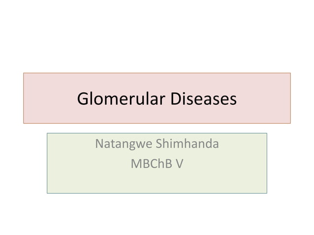 Glomerular diseases | PPTX | Blood Disorders | Diseases and Conditions