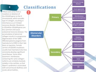 Glomerular Diseases.pptx