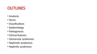 Glomerular diseases.1236384747848488pptx | PPTX