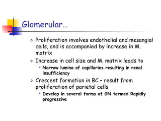 Glomerular Diseases.ppt pediatrics child | PPT