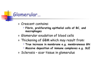Glomerular Diseases.ppt pediatrics child | PPT