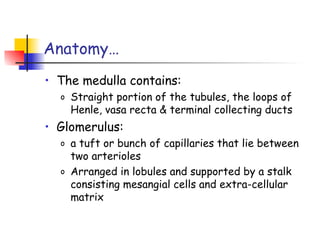 Glomerular Diseases.ppt pediatrics child | PPT