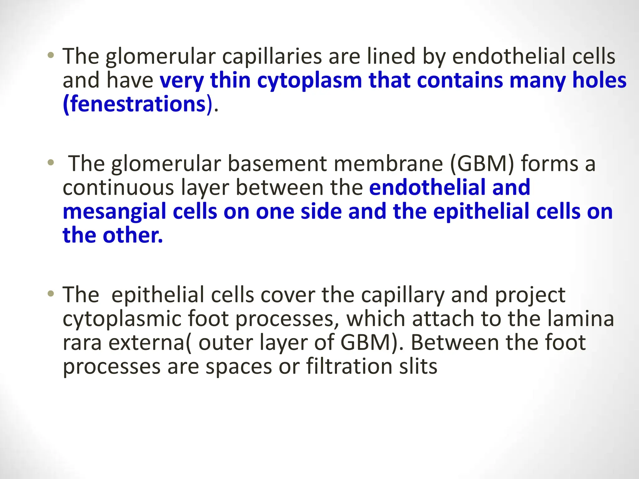Glomerular diseases by dr kussia.p nephrologistpt | PPT | Blood ...