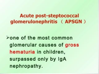 Glomerular diseases by dr kussia.p nephrologistpt | PPT