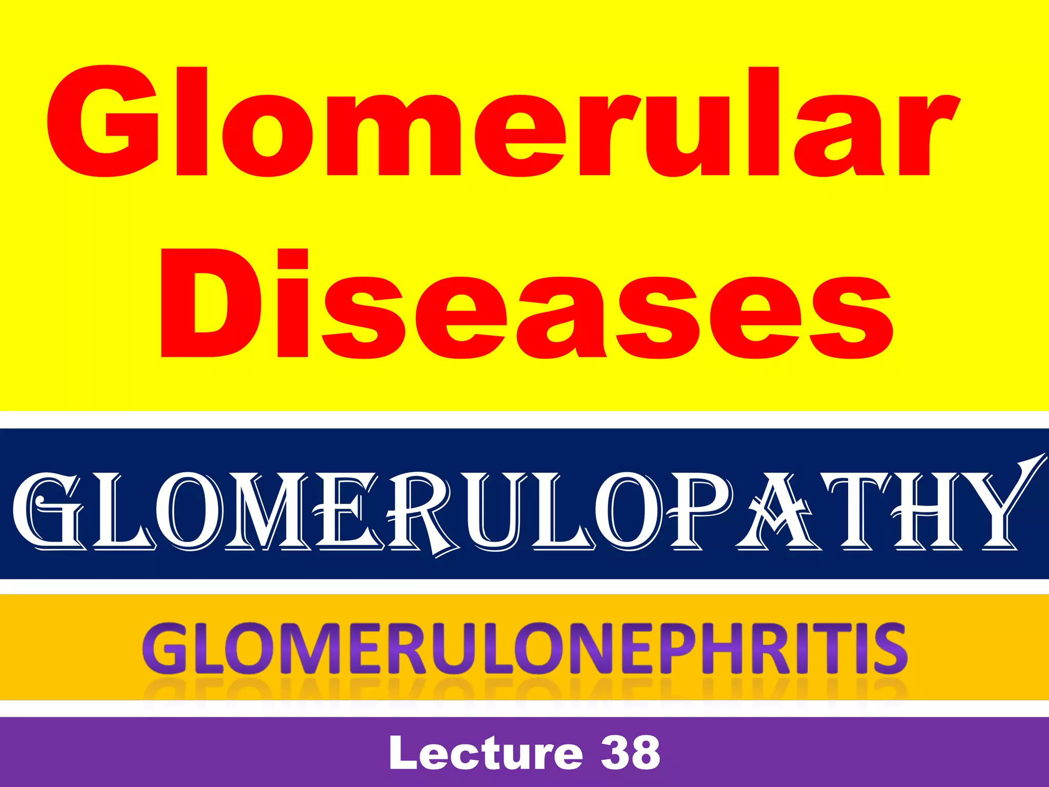 Glomerular diseases | PPT