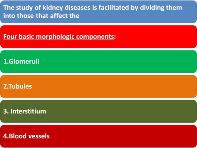 Glomerular diseases | PPT | Foot Health | Diseases and Conditions