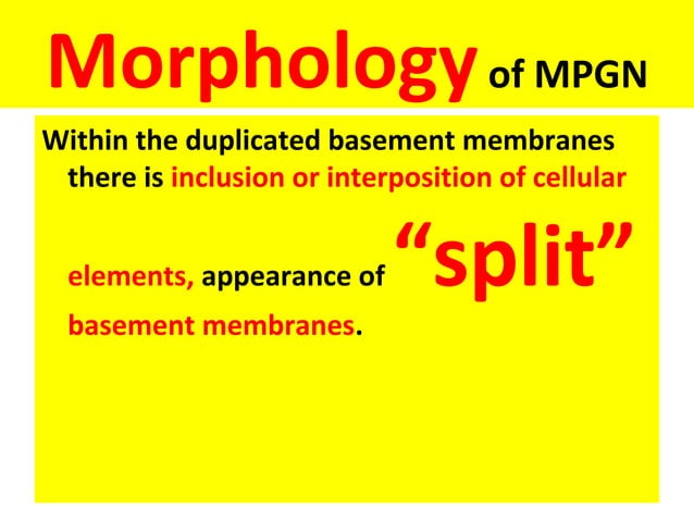 Glomerular diseases | PPT | Foot Health | Diseases and Conditions