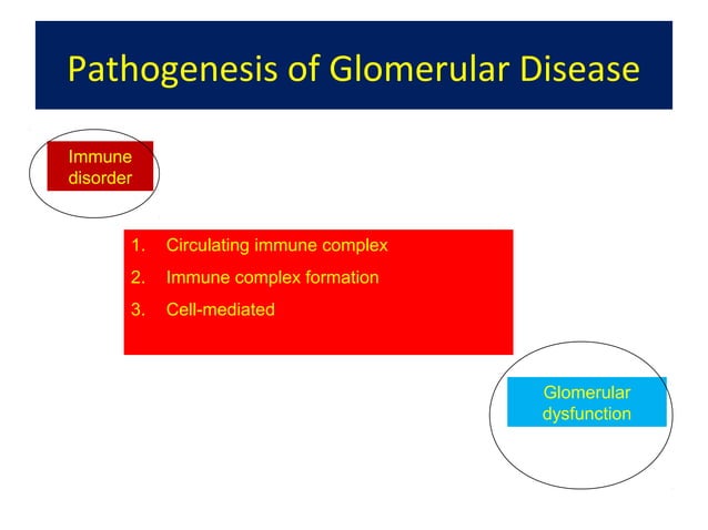 Glomerular diseases | PPT | Foot Health | Diseases and Conditions