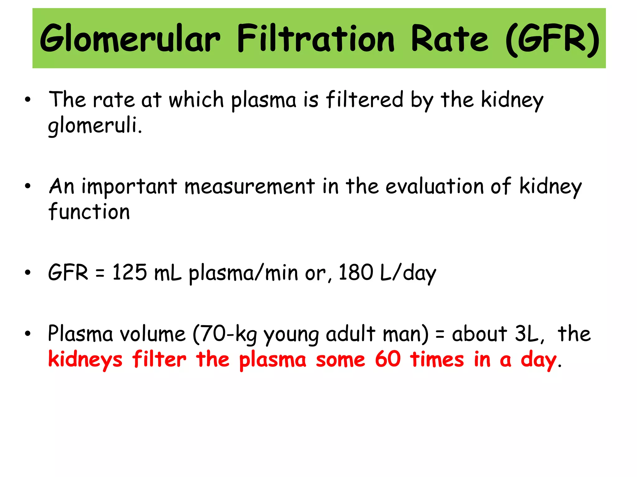 Glomerular filtration | PPTX