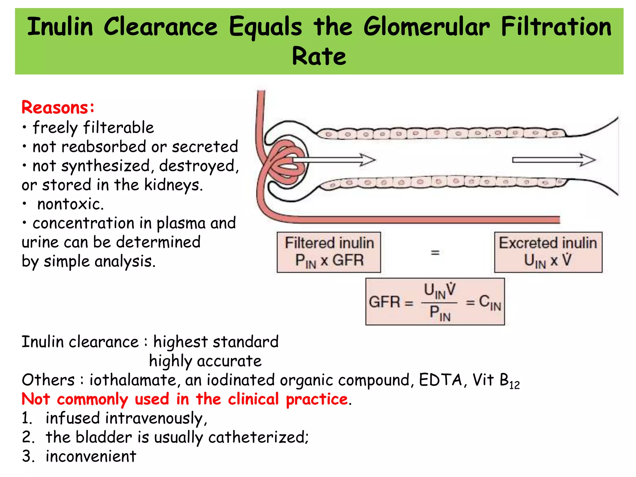 Glomerular filtration | PPTX