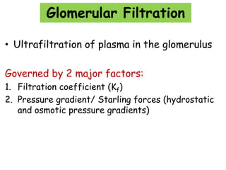 Glomerular filtration | PPTX