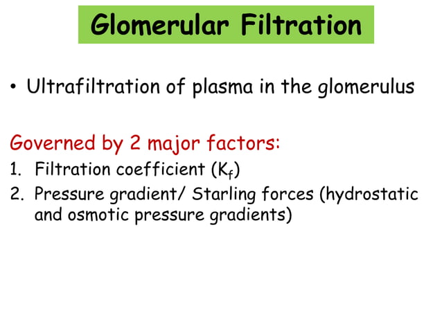Glomerular filtration | PPTX