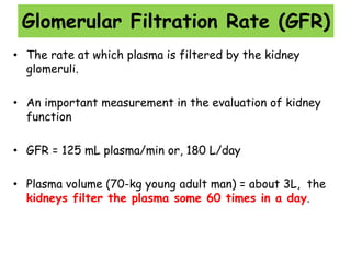 Glomerular Filtration Rate Information – PNSWG