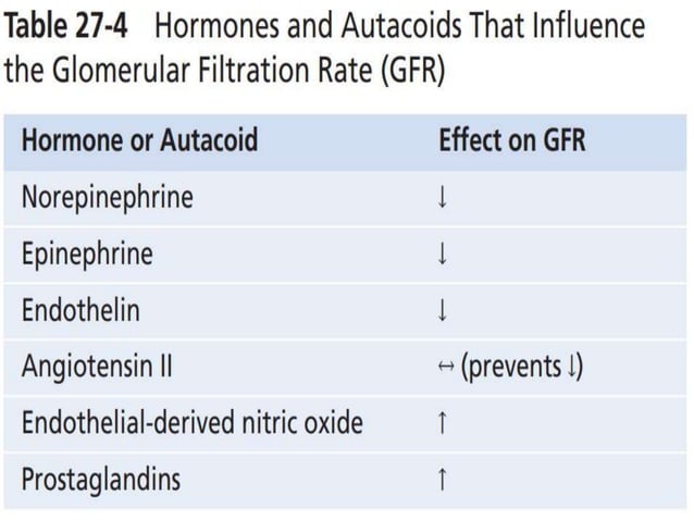 Glomerular Filtration rate and its determinants.pptx | Heart and ...