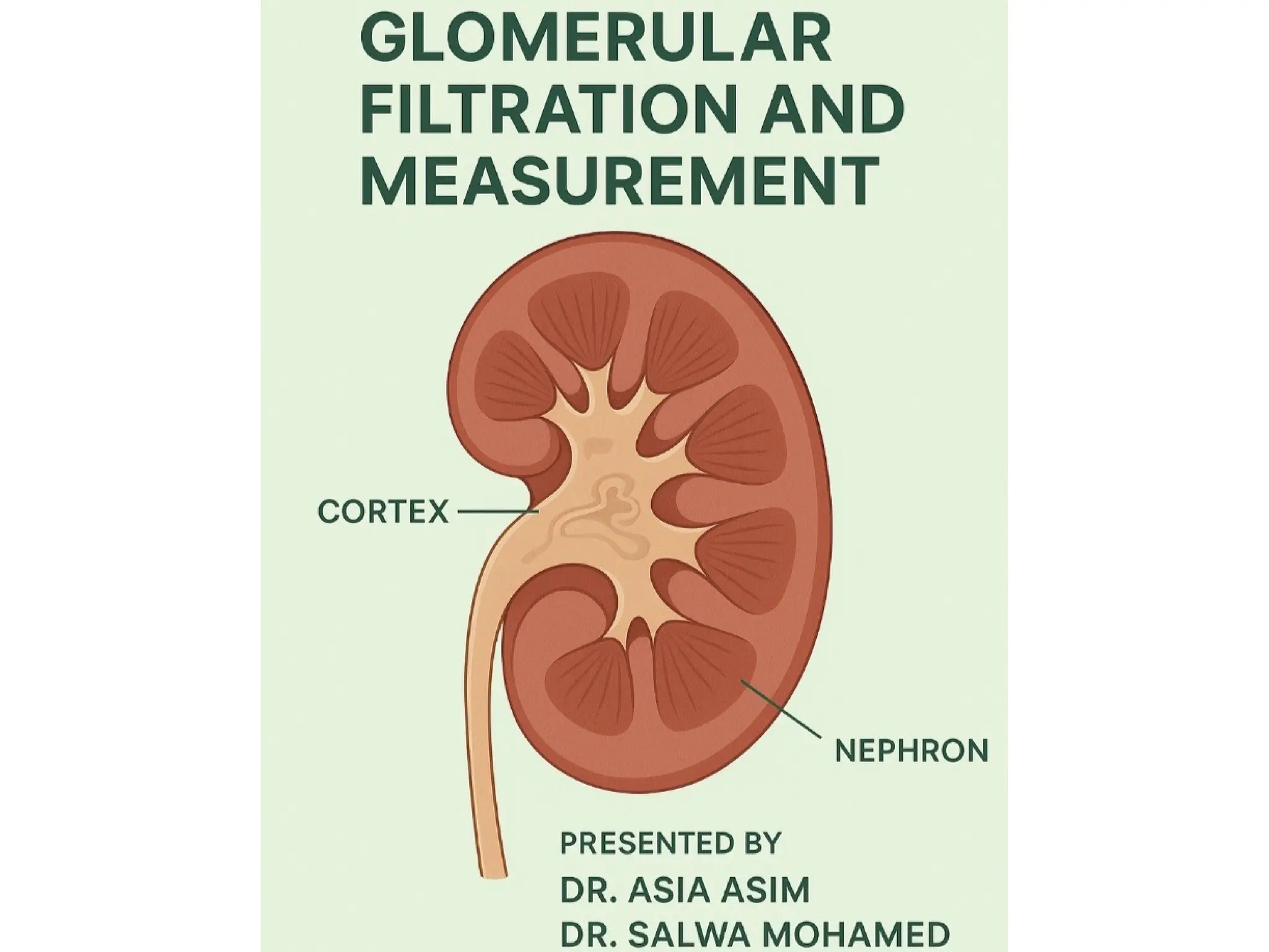 Glomerular Filtration and measurment.pptx