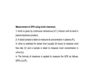 Glomerular Filtration and measurment.pptx