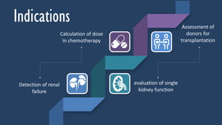 Nuclear Medicine - GFR - Case Study - Procedure | PDF
