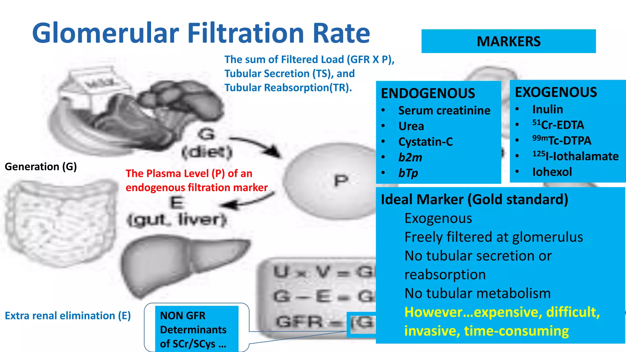 Glomerular Filtration Rate.pptx