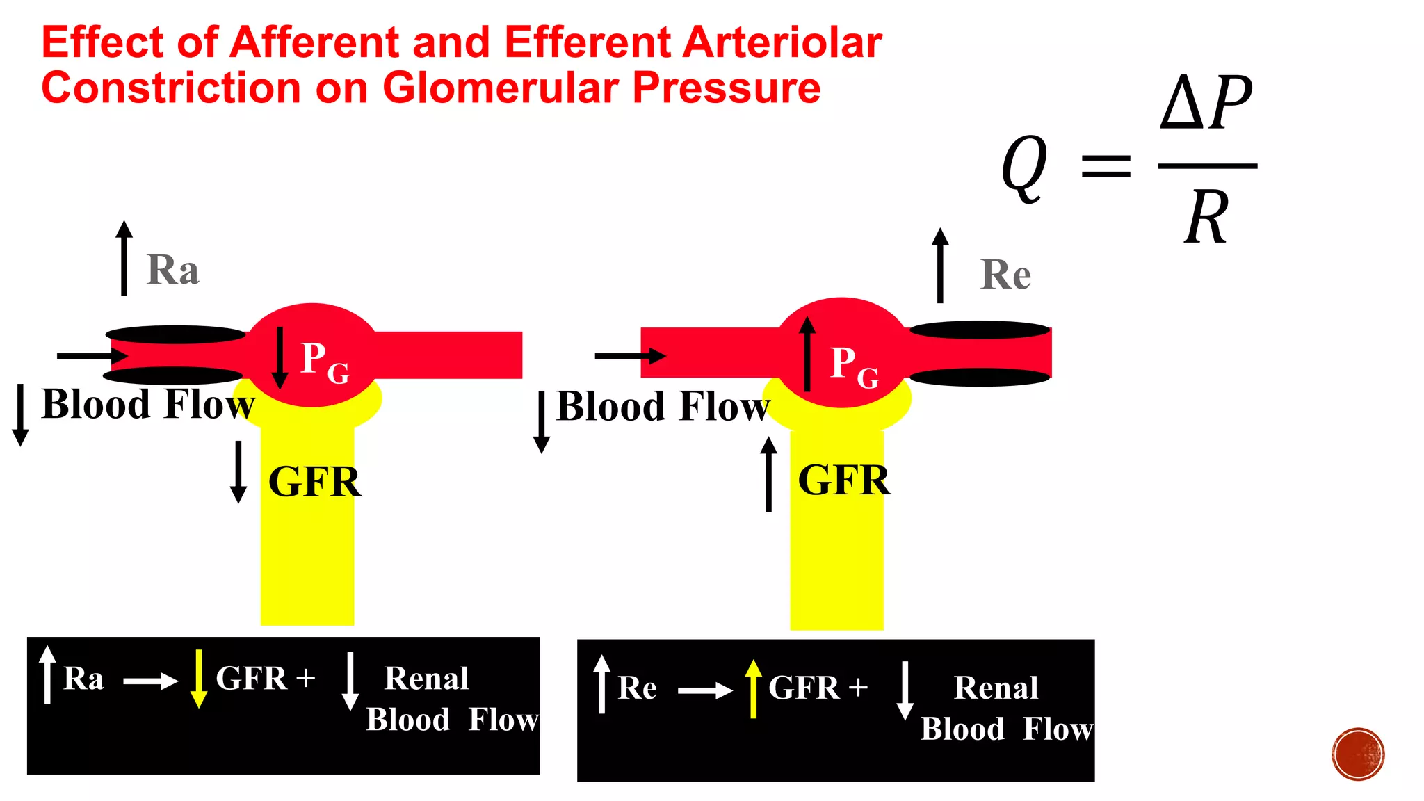 Glomerular filtration rate and renal blood flow | PPTX