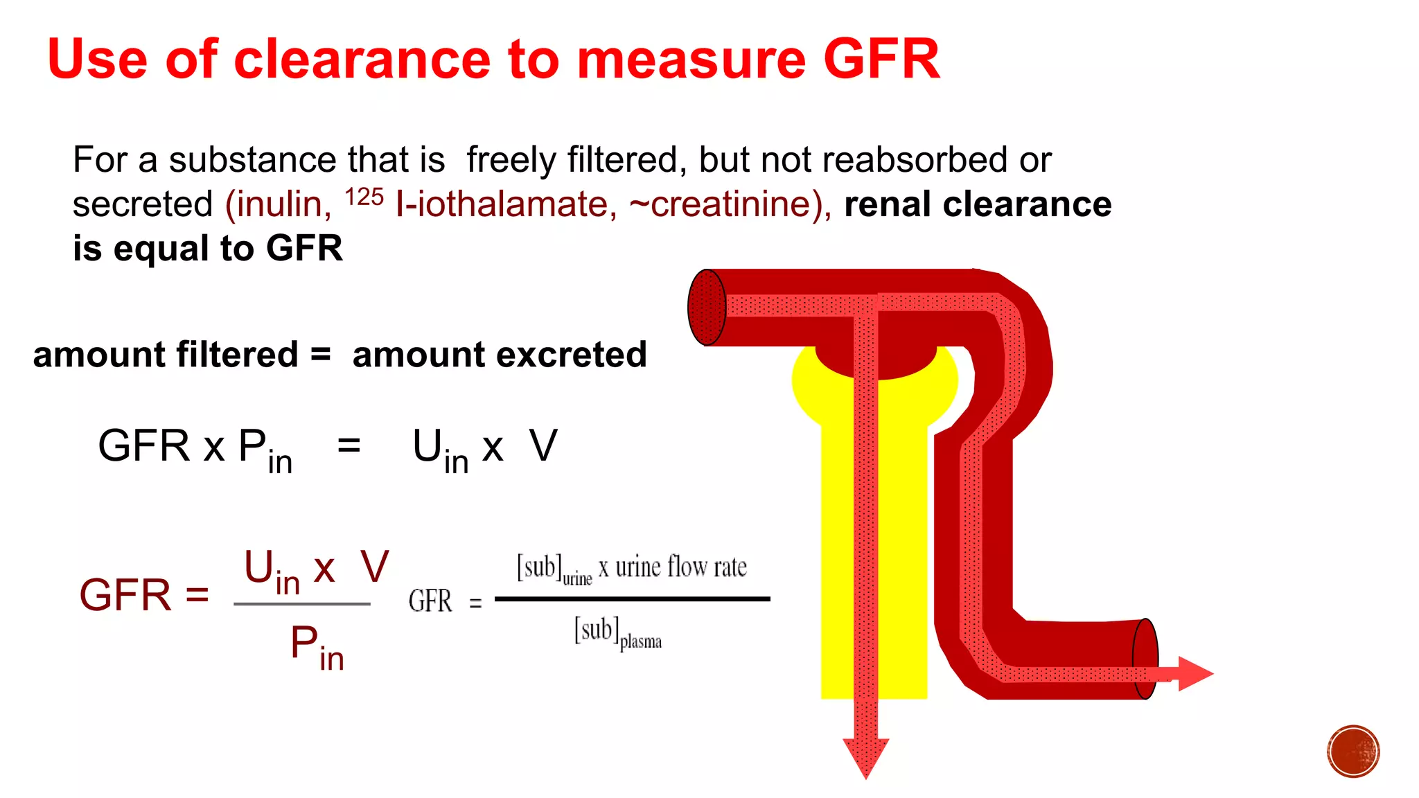 Glomerular filtration rate and renal blood flow | PPTX
