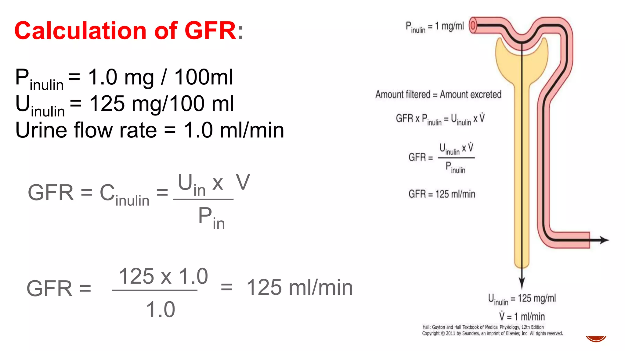 Glomerular filtration rate and renal blood flow | PPTX