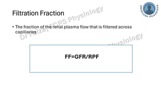 Glomerular Filtration Rate, Renal Blood Flow | PDF