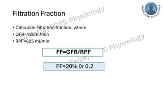 Glomerular Filtration Rate, Renal Blood Flow | PDF