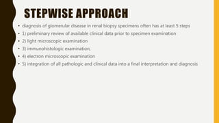 Glomerular staining | PPTX