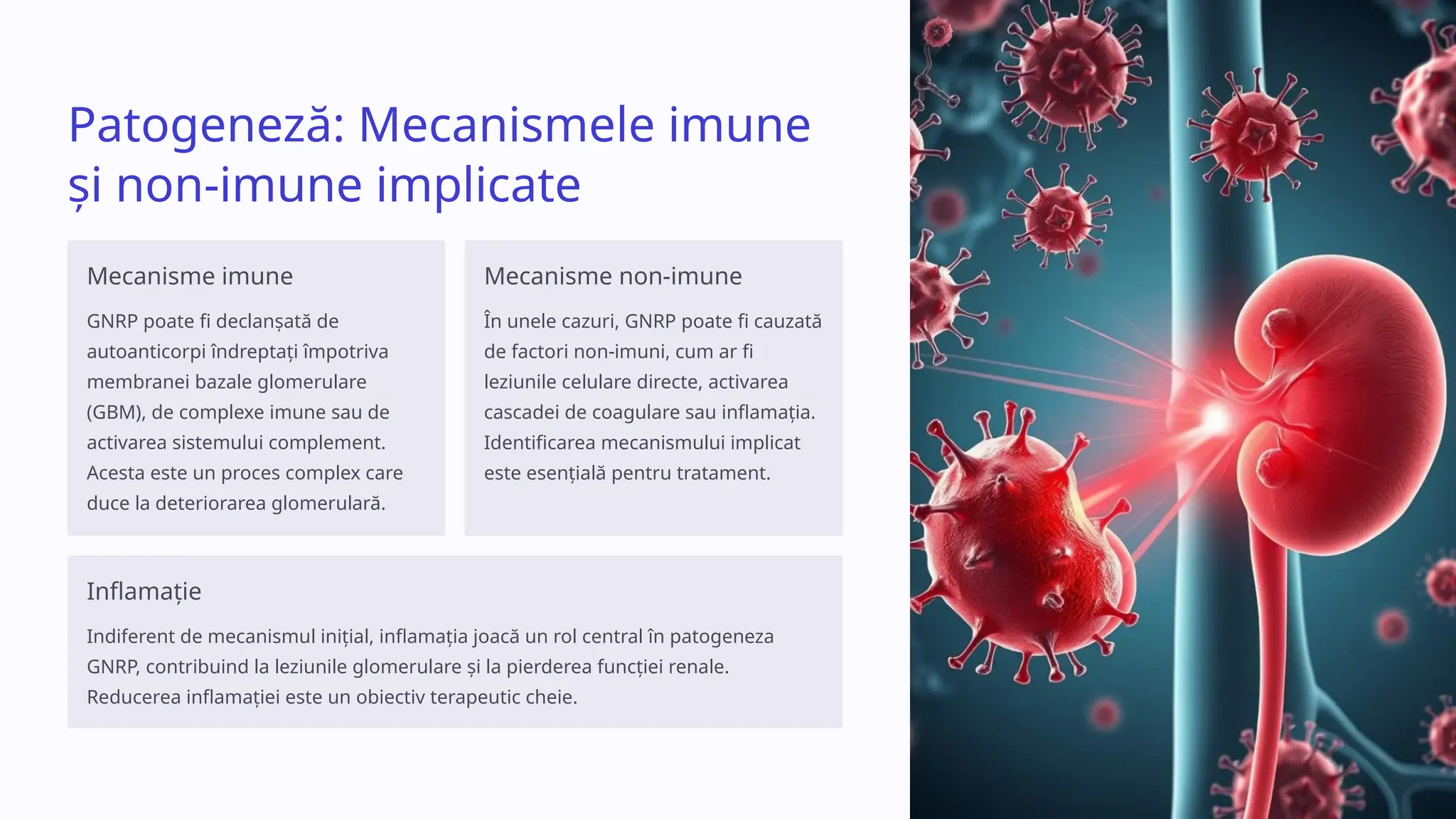 Glomerulonefrita-Rapid-Progresiva-Actualitati-si-Management.pptx