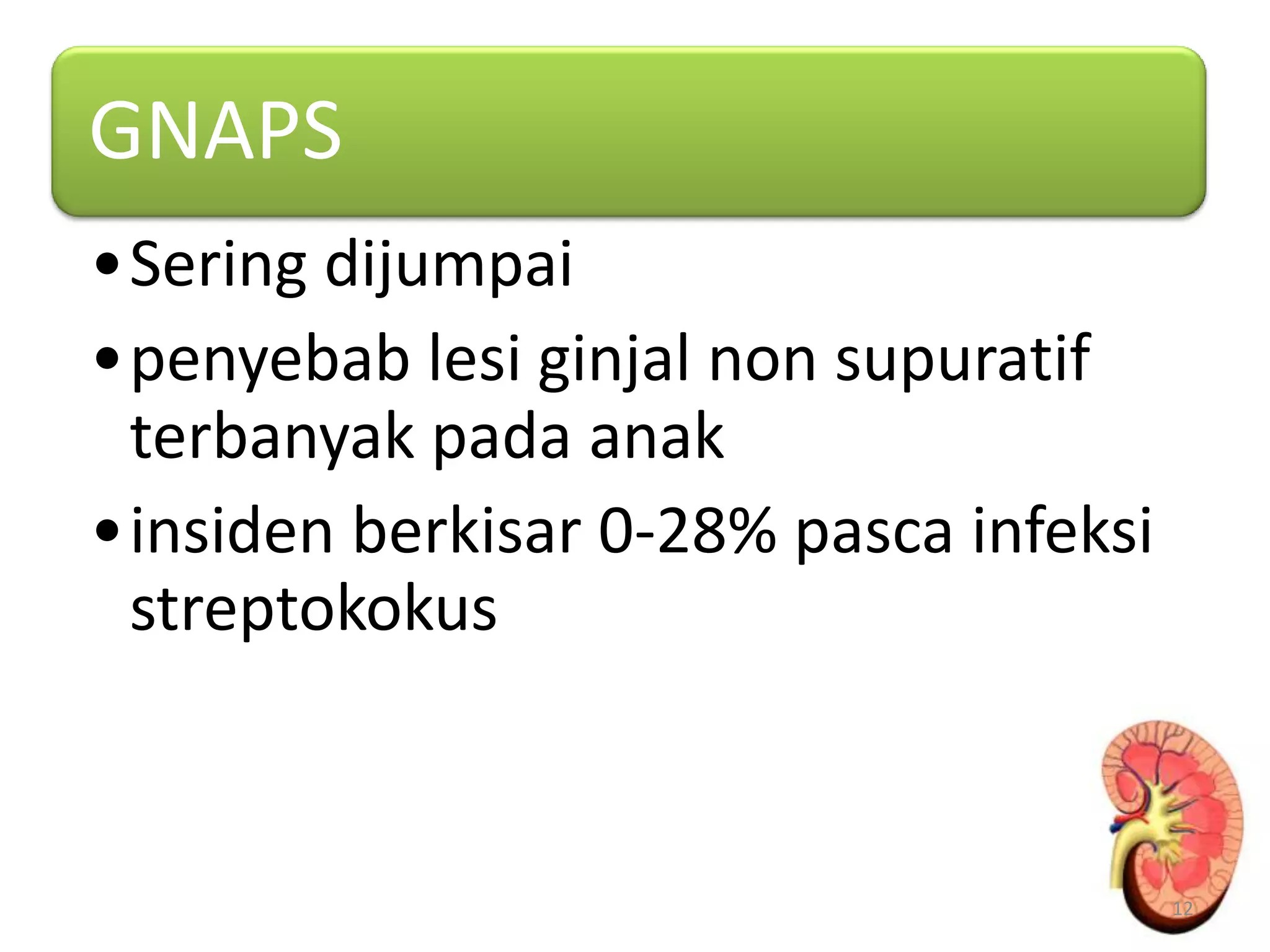 Glomerulonefritis akut pasca streptokokus pada anak | PPTX