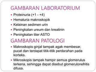 glomerulonefritis_k6_ppt.ppt