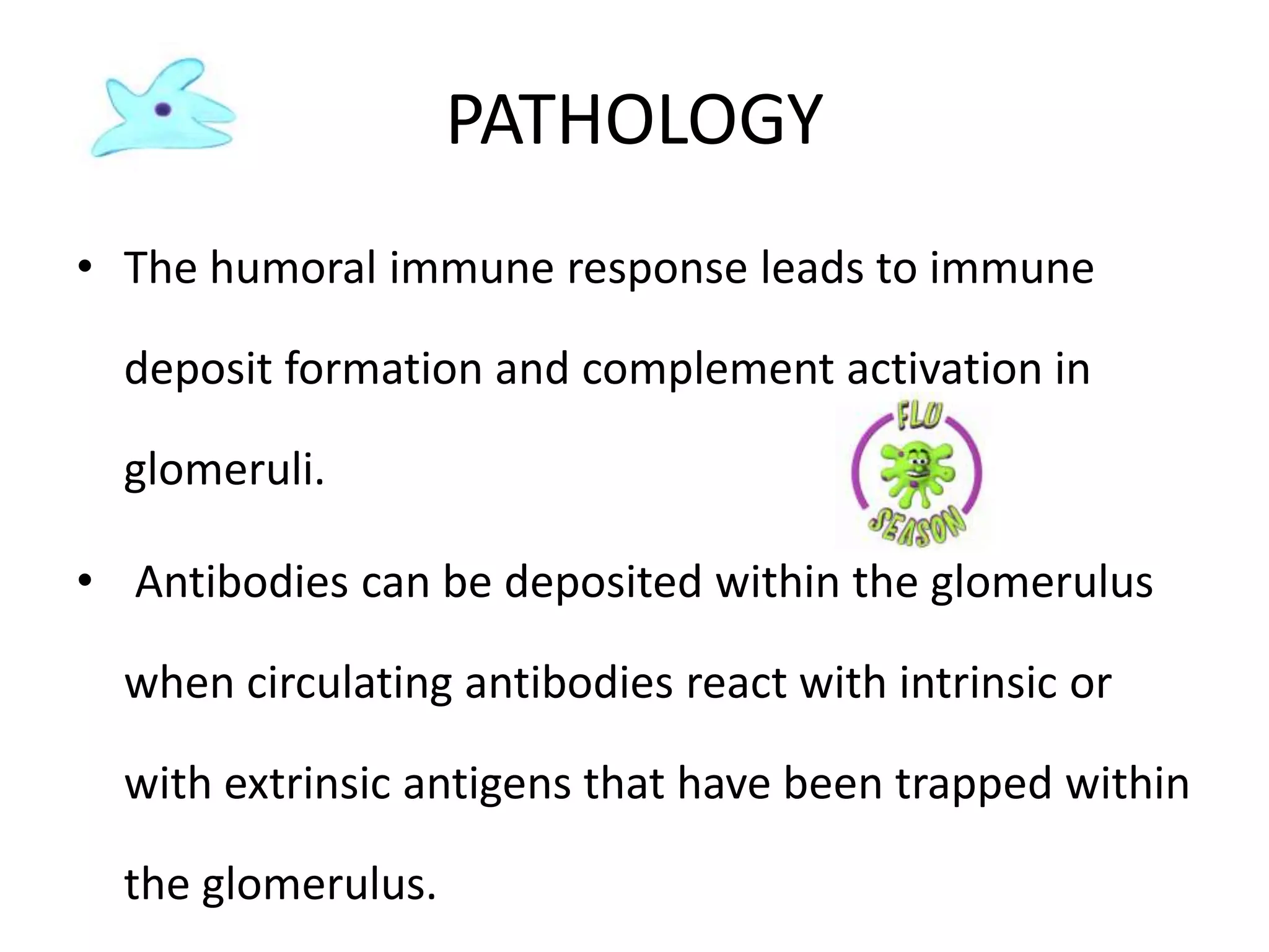 Glomerulonephritis =) | PPTX