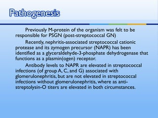 Glomerulonephritis | PPT