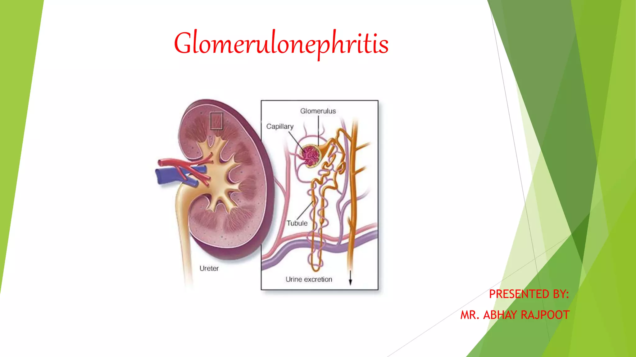 Glomerulonephritis | PPTX