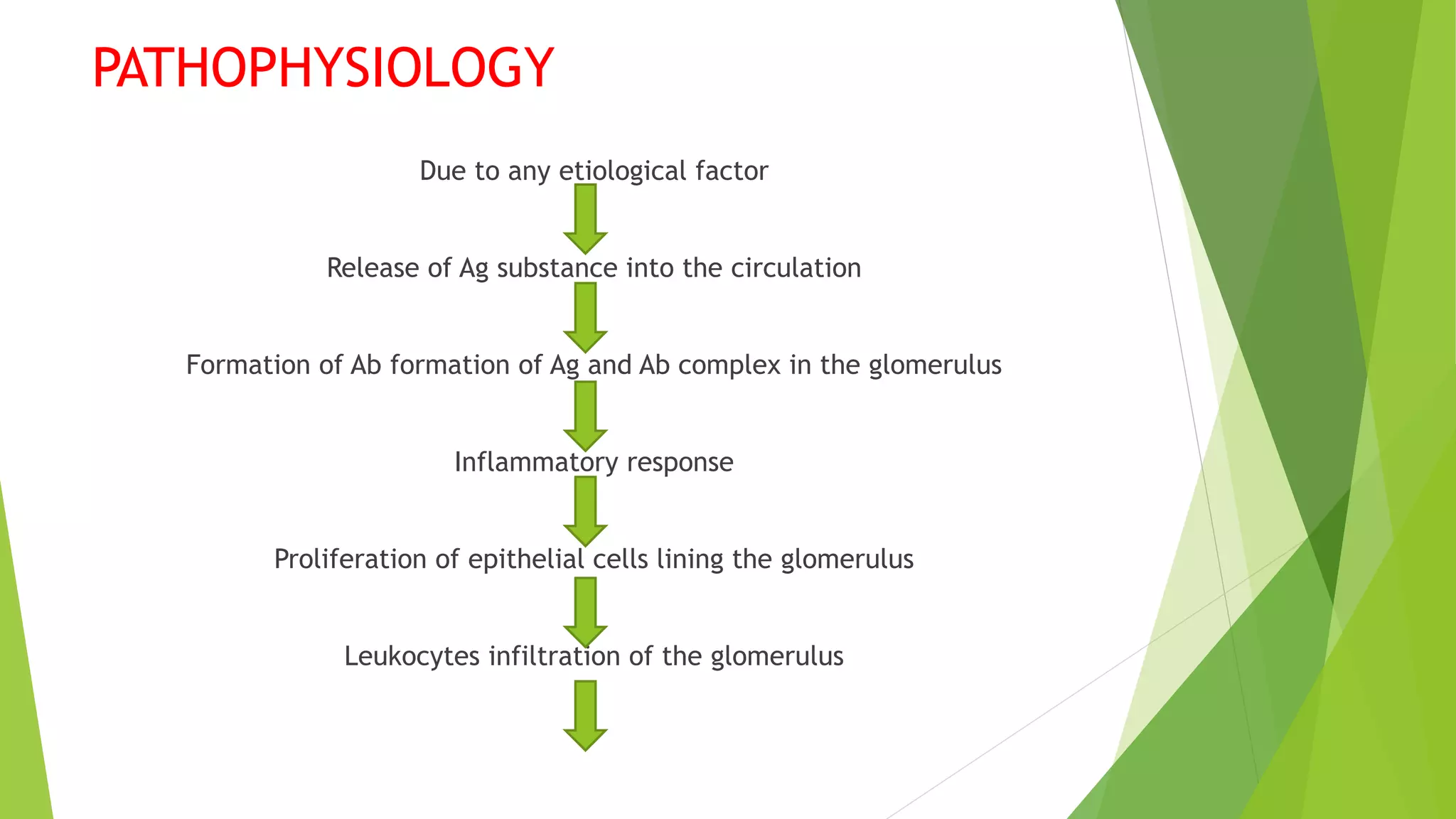 Glomerulonephritis | PPTX