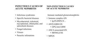 Glomerulonephritis - Acute Nephritic Syndromes | PPTX
