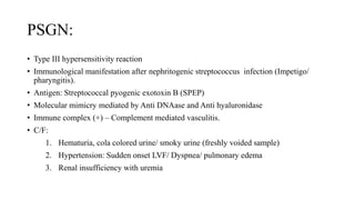 Glomerulonephritis | PPT