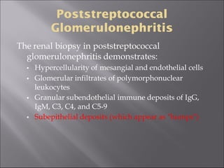 glomerulonephritis1-pages-deleted.pdf
