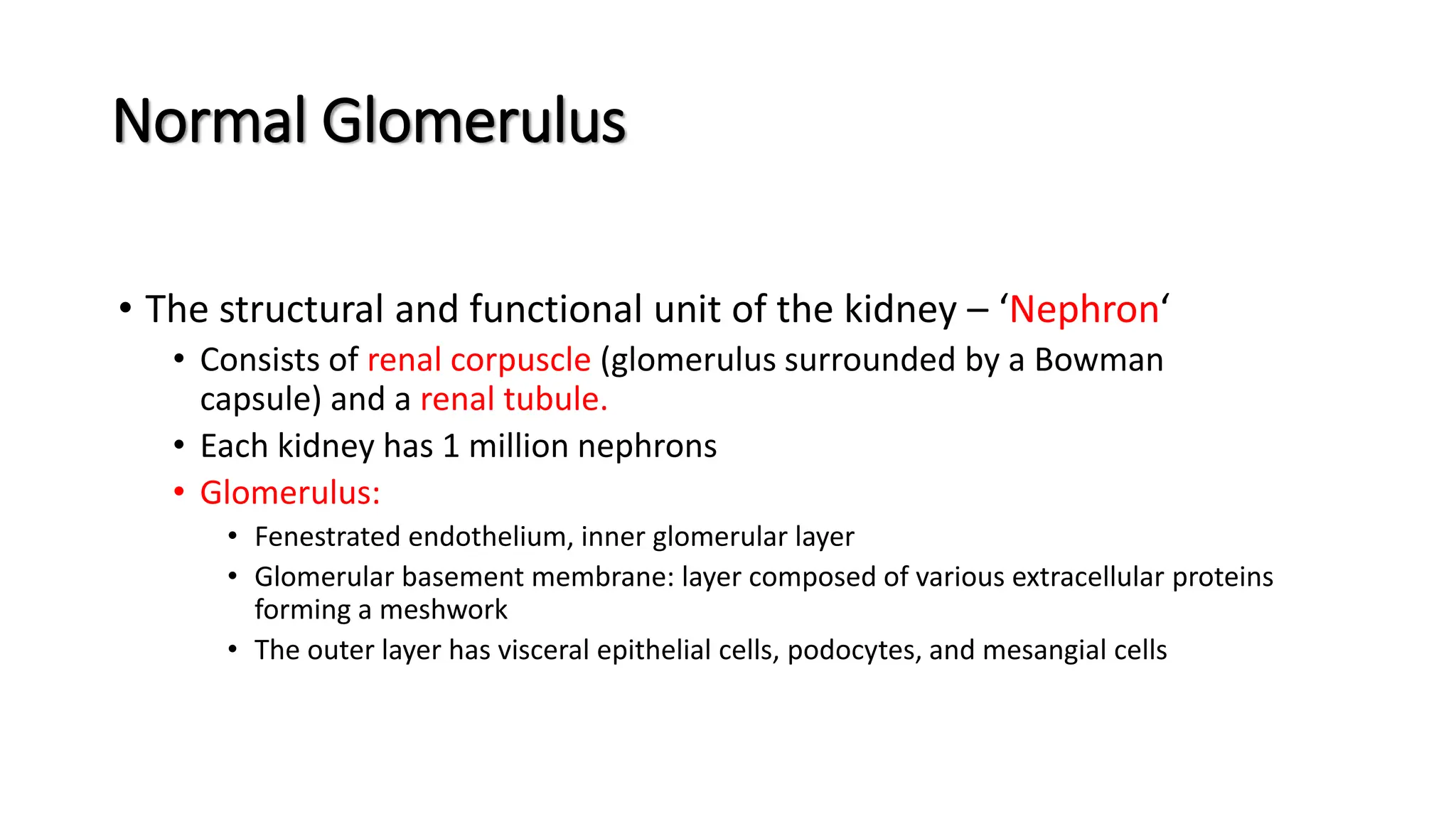 glomerulonephritis (5).pptx