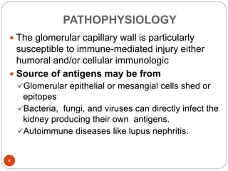 Glomerulonephritis pathophysiologies for pharmacy | PPTX