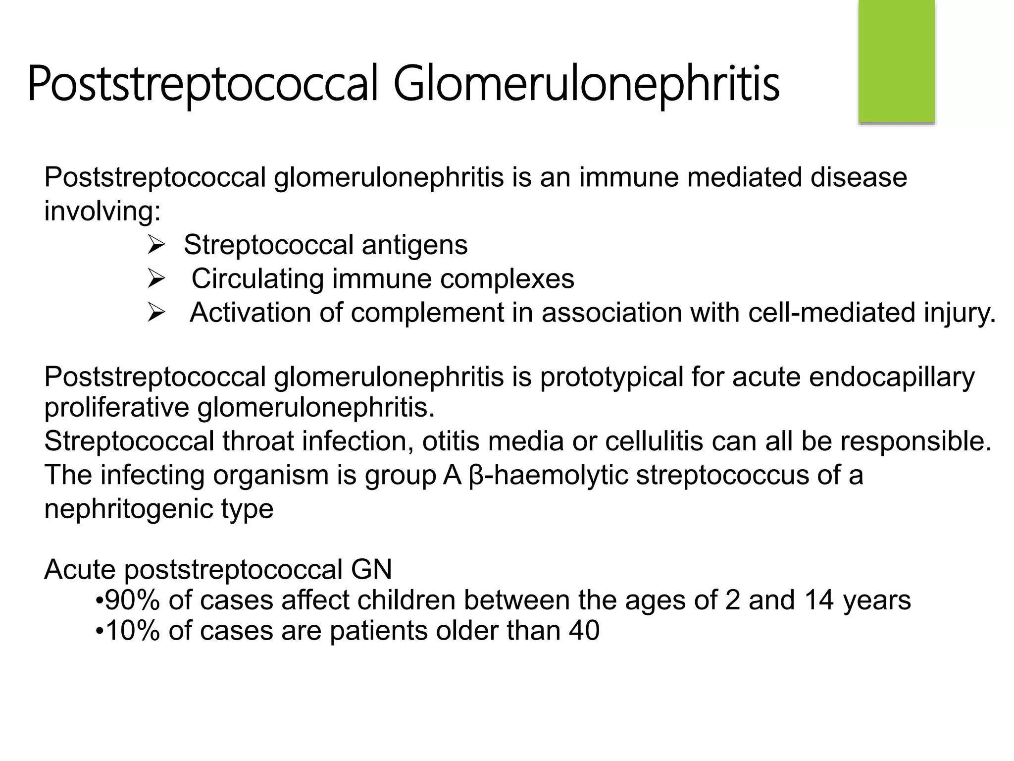 Acute Glomerulonephritis | PPTX