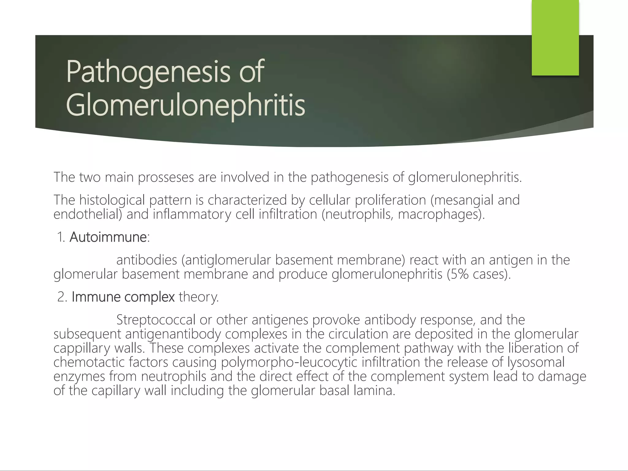 Acute Glomerulonephritis | PPTX